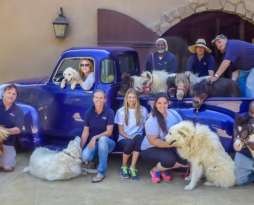 Gallery - The City Farm